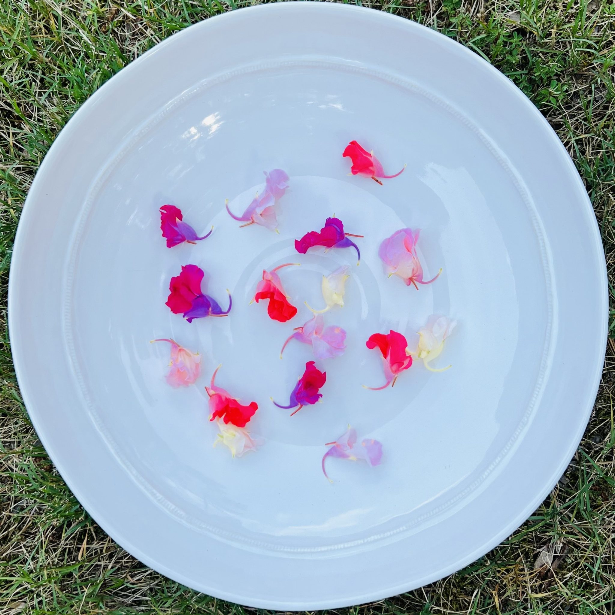 It’s Time To Plan Your Edible Flower Garden! – anneholmesnutrition