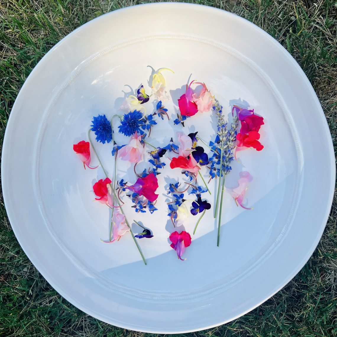 It’s Time To Plan Your Edible Flower Garden! – anneholmesnutrition